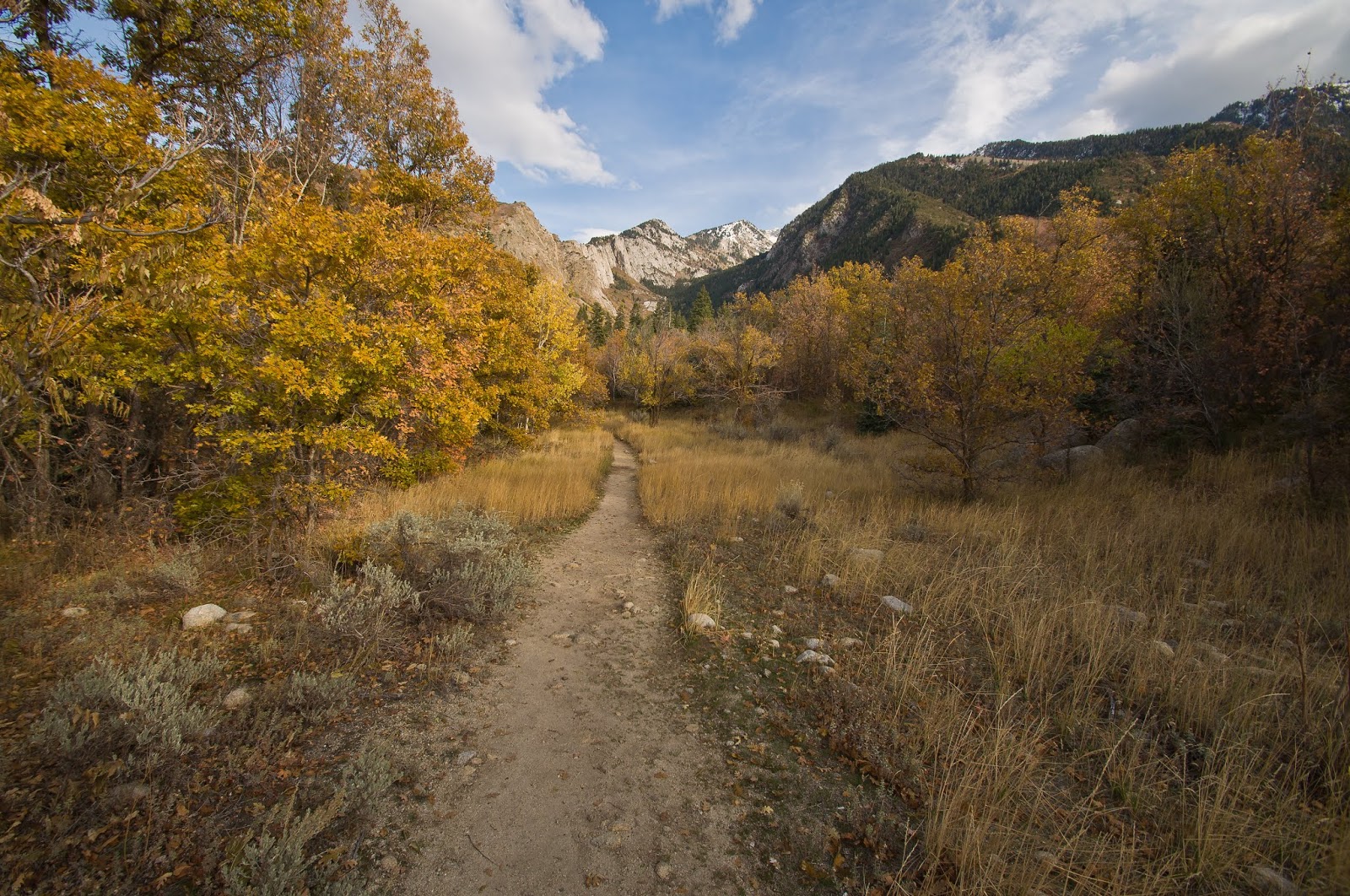 Seeking Shambhala: Bells Canyon, Wasatch National Forest- October 2018