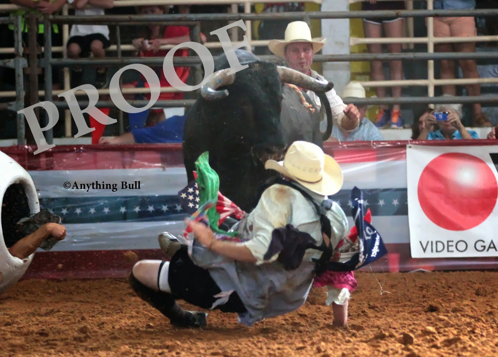 Anything Bull or Rusty: Saturday Round 4 - Clint Hopping