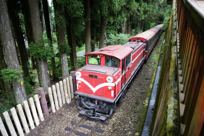 Endless Traveling Map: The Alishan Forest Railway, Taiwan