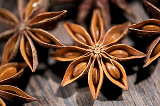 Behind the French Menu: Anis Étoile or Badiane - Star Anise the Spice ...
