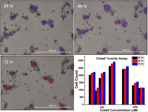 Neuromics: Kinetic Assays and Stem Cell Toxicology Studies