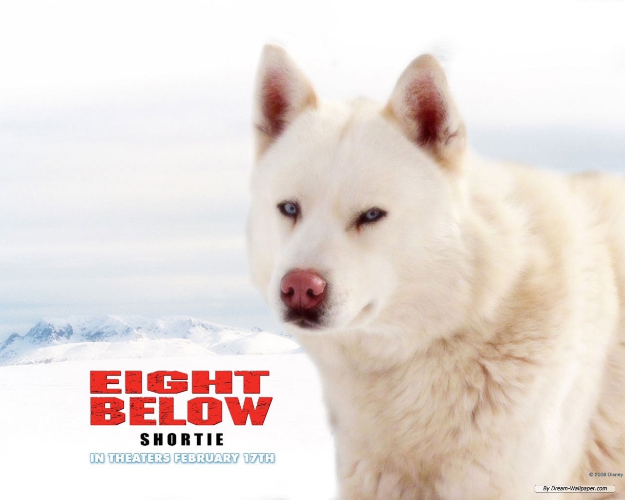 eight below wallpaper - Disney Computer Wallpaper