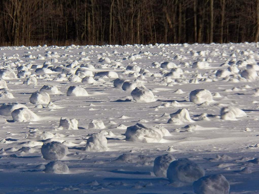 Snow Rollers: Nature’s Winter Treat ~ Kuriositas