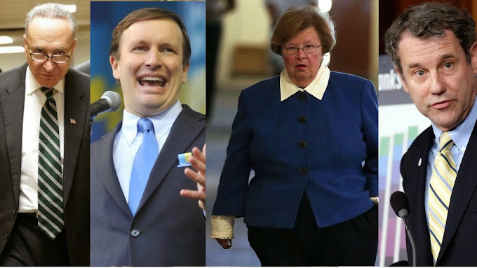 Doug Ross @ Journal: THE FIVE MOST BEAUTIFUL DEMOCRAT SENATORS: People ...