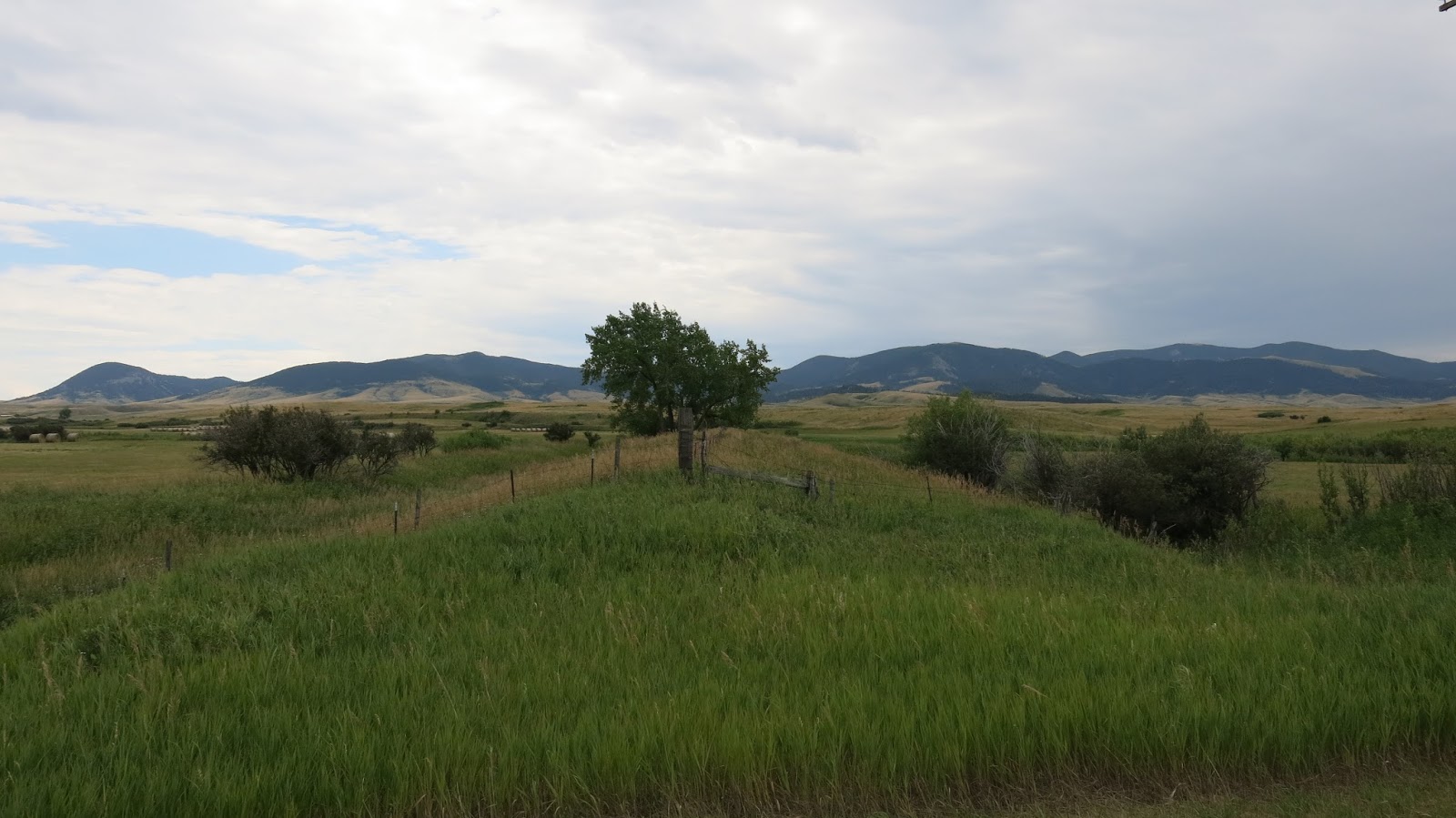 Geared Steam: Milwaukee Road Branch Line - Roy Montana 2015