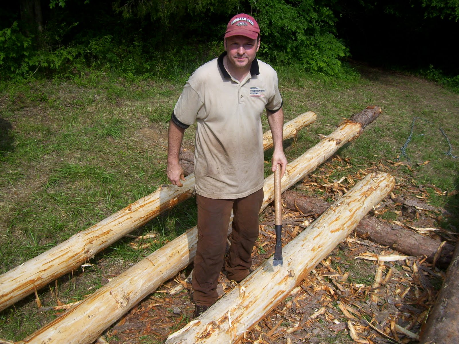 Building a butt and pass log cabin