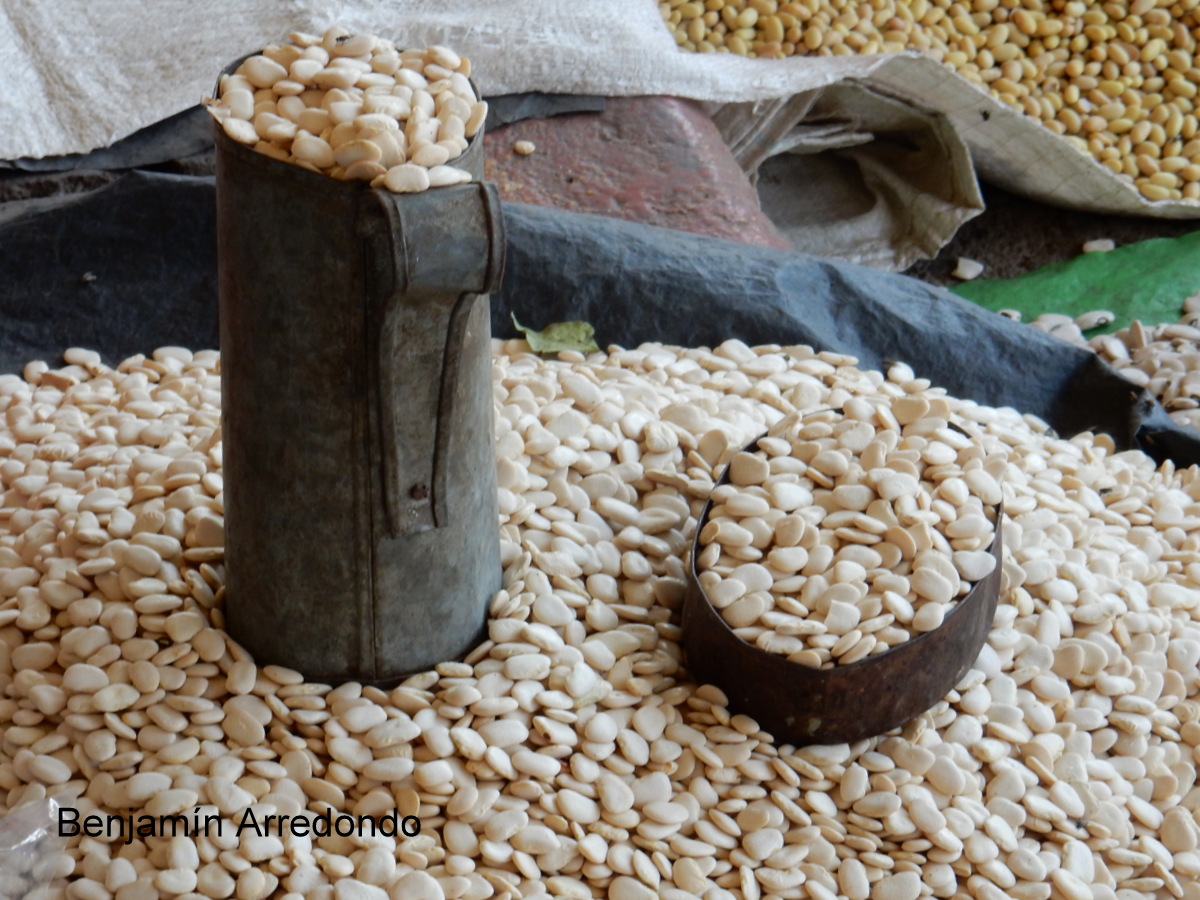 El Bable: Los cuarterones, medida en desuso oficial, pero en uso en ...