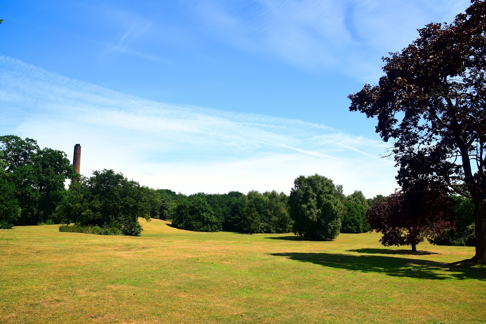 Enjoy your time with beautiful places: Homewood Park in Chertsey