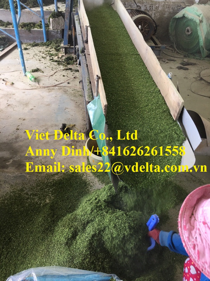 ANIMAL FEED PRODUCTS FROM VIETNAM: ULVA LACTUCA/ DARK GREEN SEAWEED ...