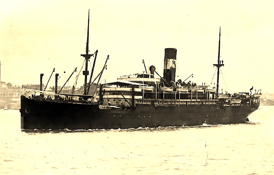 ss Waratah, A Professional Analysis : More on coal and steamships