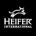 5 New Jobs at Heifer International - Tanzania - Kazibongo