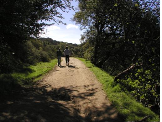 Images and the Word: Jesus will help you take the right path...