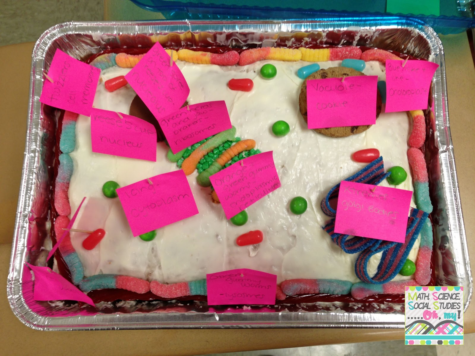 3D Cell Projects | Technically Speaking with Amy