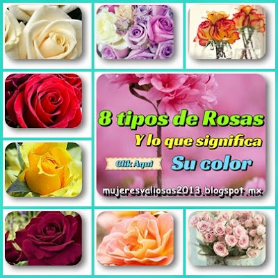 Mujeres Valiosas: 8 Tipos de rosas y lo que su color significa