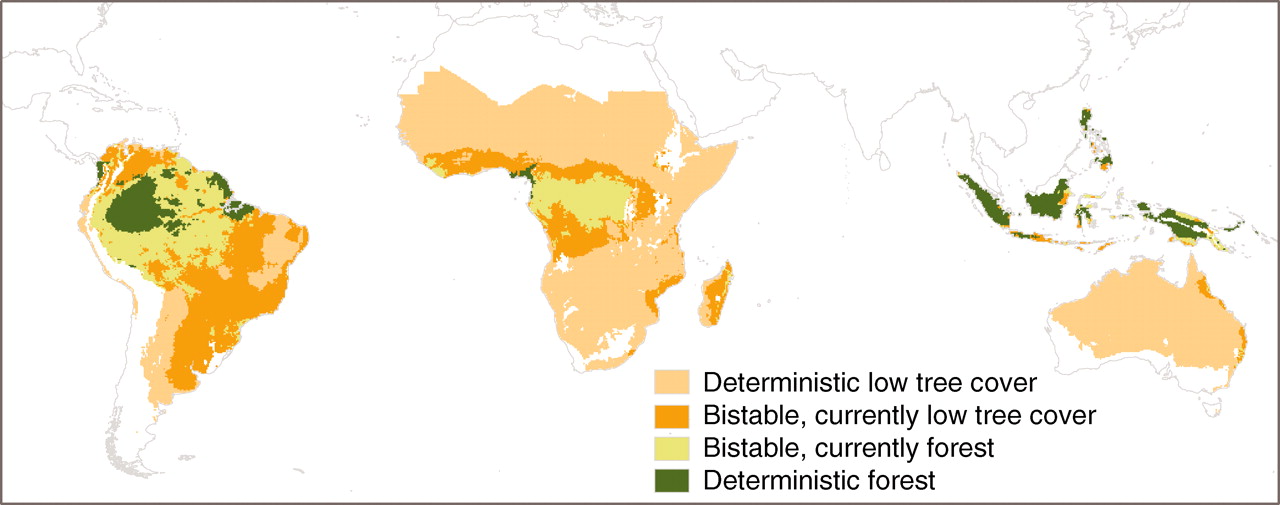 Safari Ecology: What is the savanna biome?