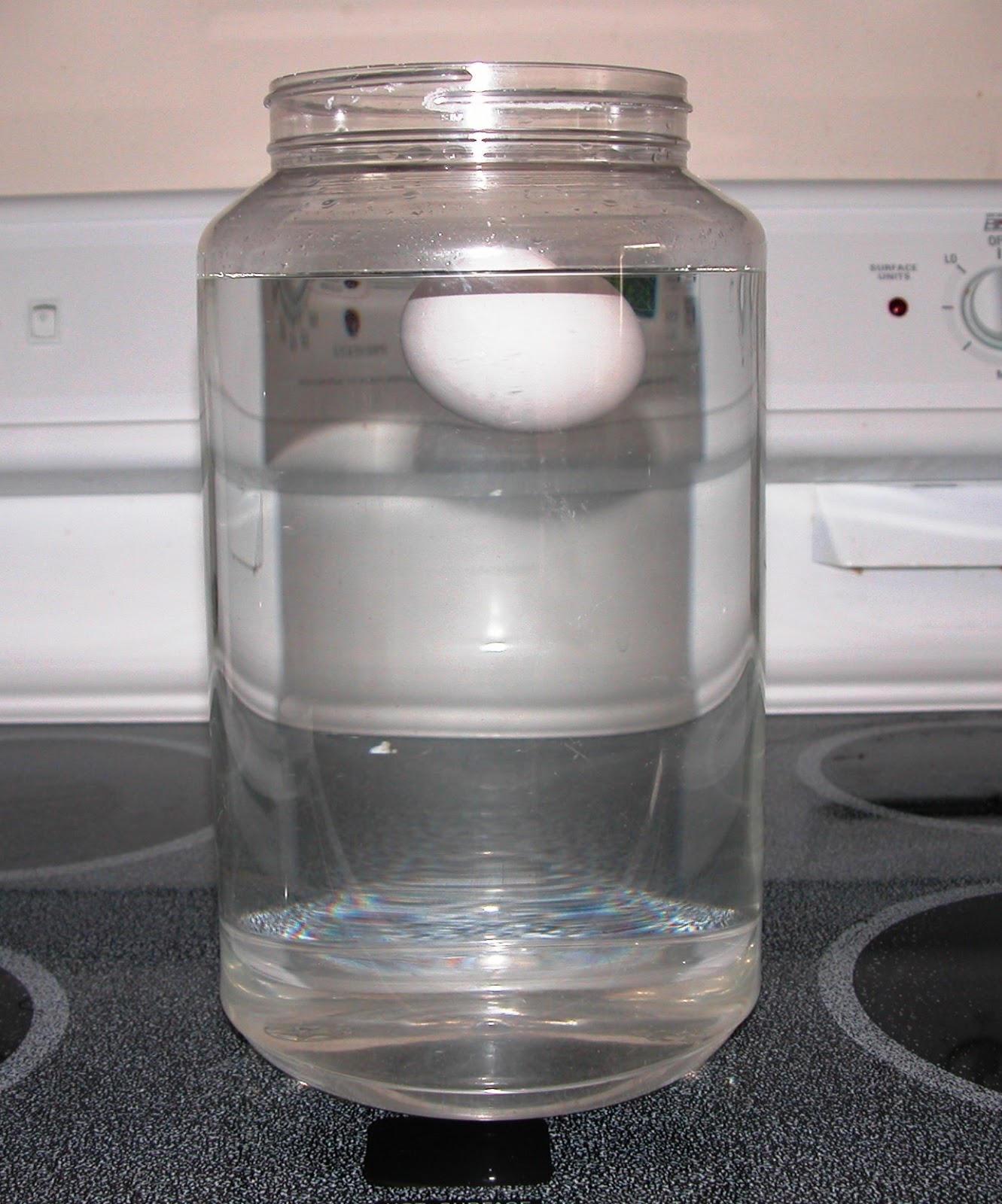 Living Prepared ---: Brine Salt Preserving Meat for the Long Term