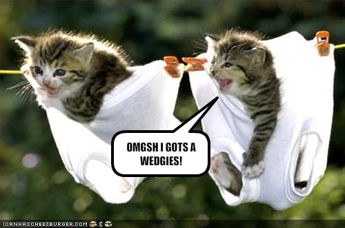 Cute Funny Kittens | In Photos | Funny And Cute Animals