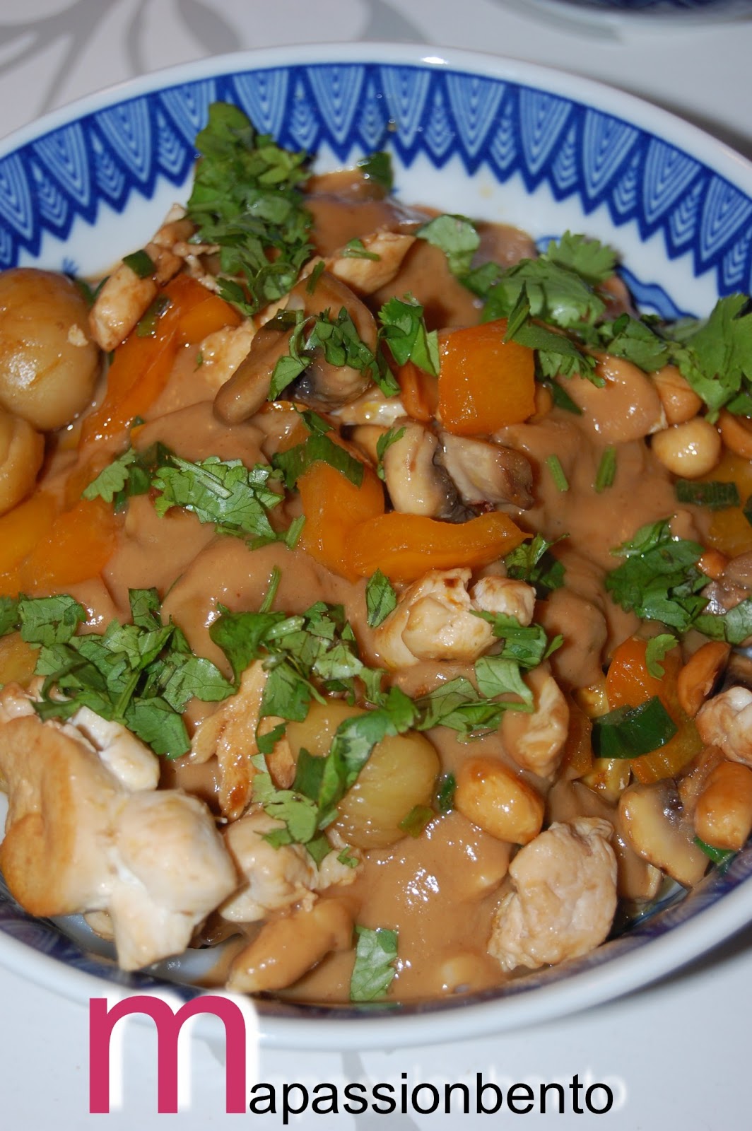 Ma passion bento: Udon, poulet, arachide...