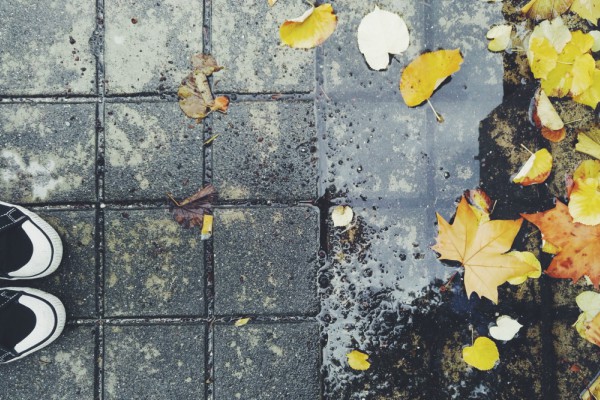 mundo flo: Autumn walks