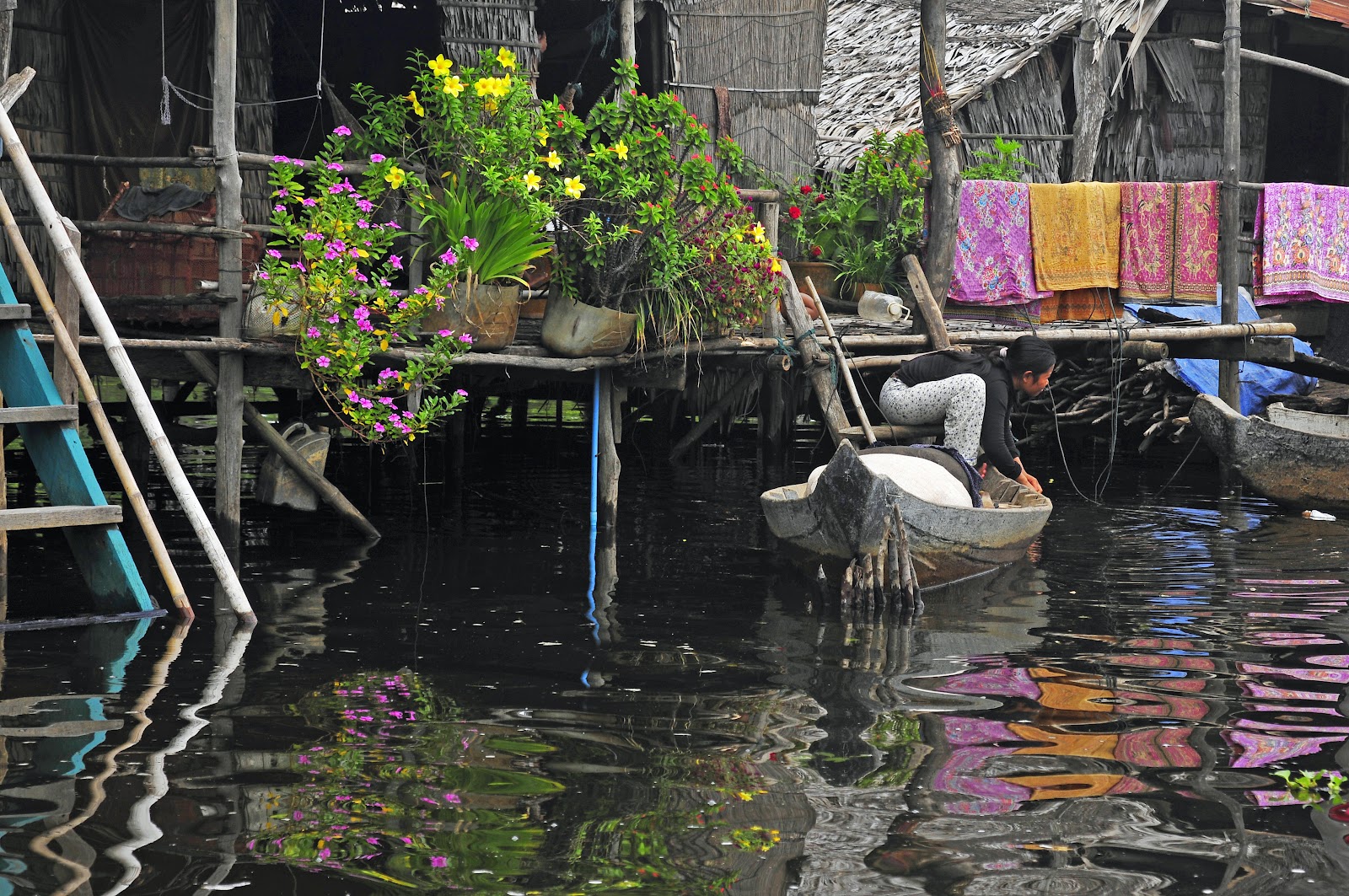 VIAGENS, IMAGENS E PENSAMENTOS ( Helena Afonso)