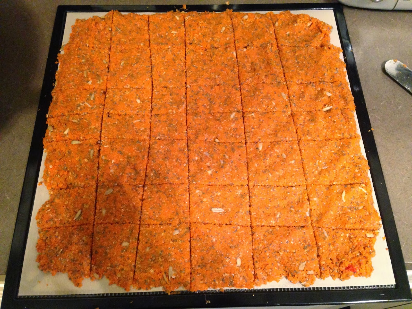 The Vegan Hucklebuck: Raw Vegan Carrot Pulp Crackers