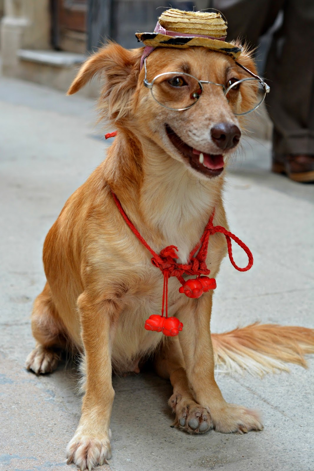 Visiting Havana, Cuba – Day 1. - Lux Life London