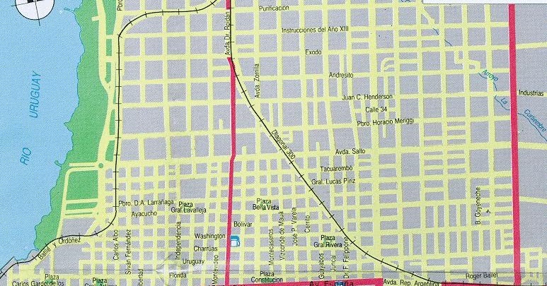 BIOLOGÍA: Plano de Paysandú.