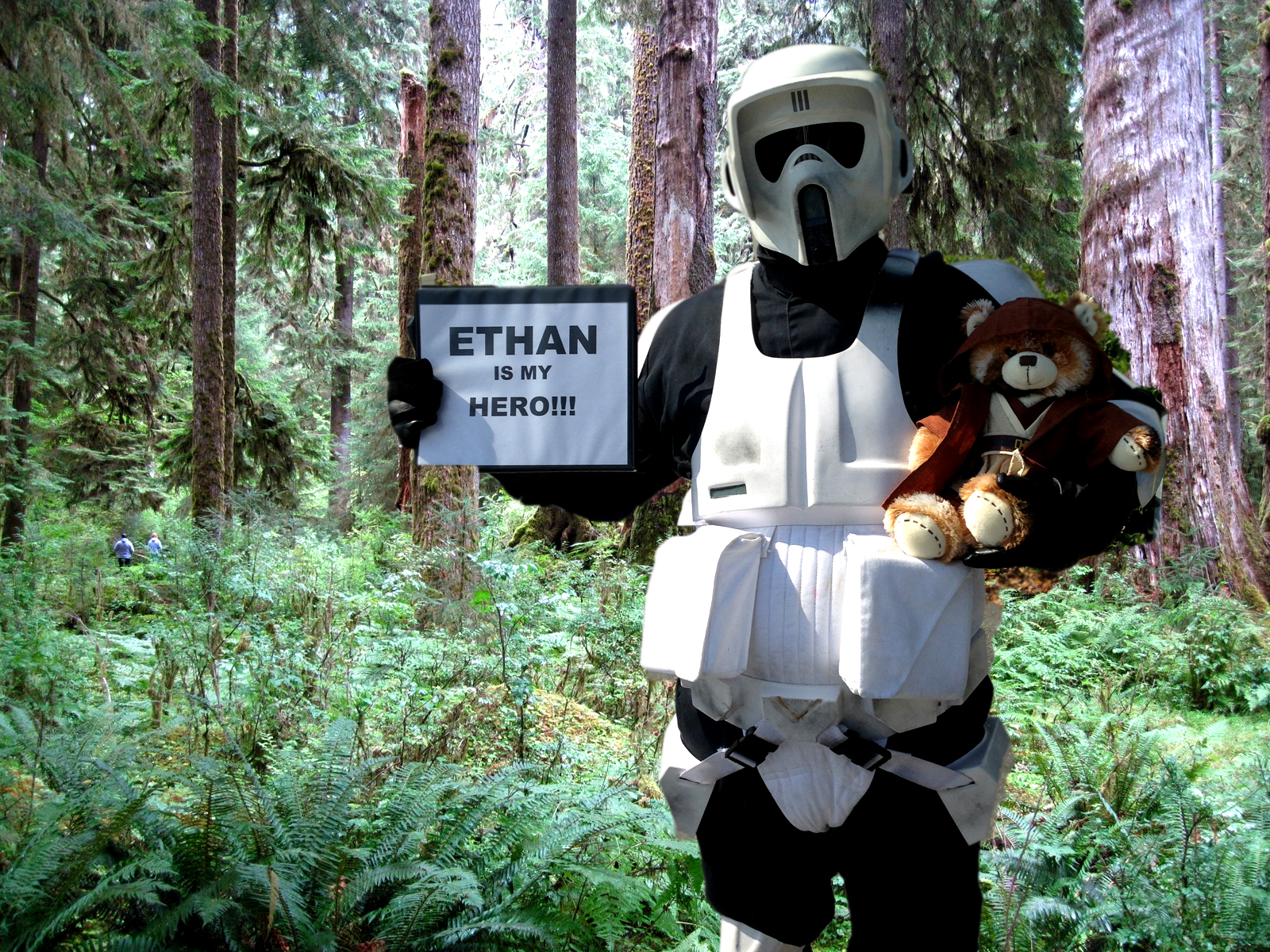 Troop For The Cure: May 2013