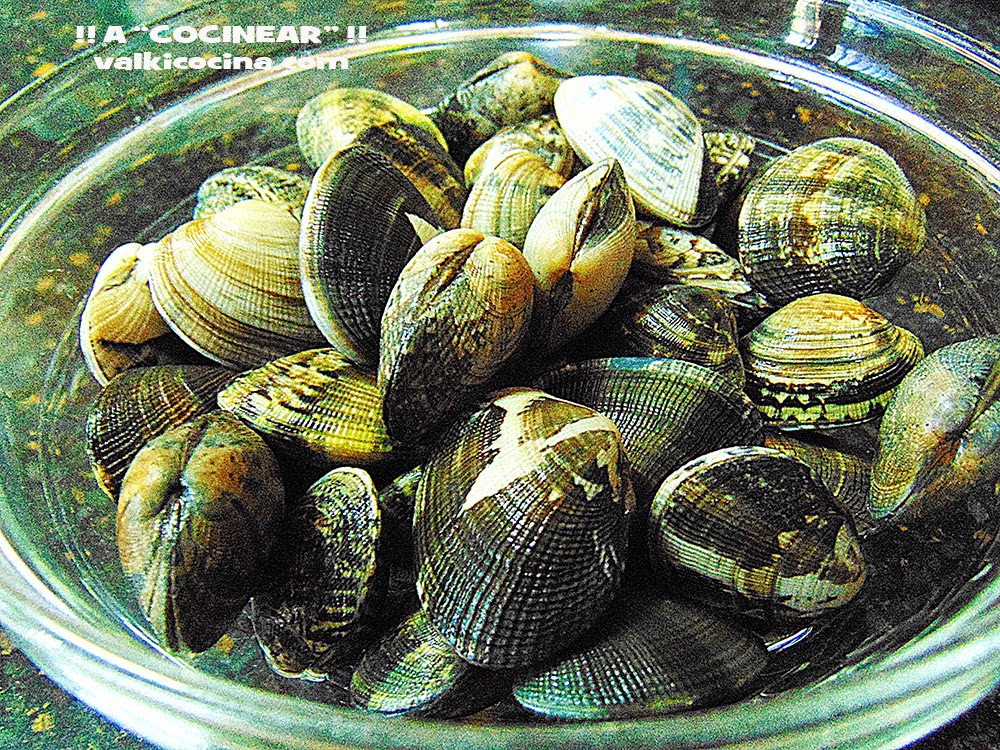 ALMEJAS: conservar y depurar | ¡¡A COCINEAR!! Recetas valkicocina.com