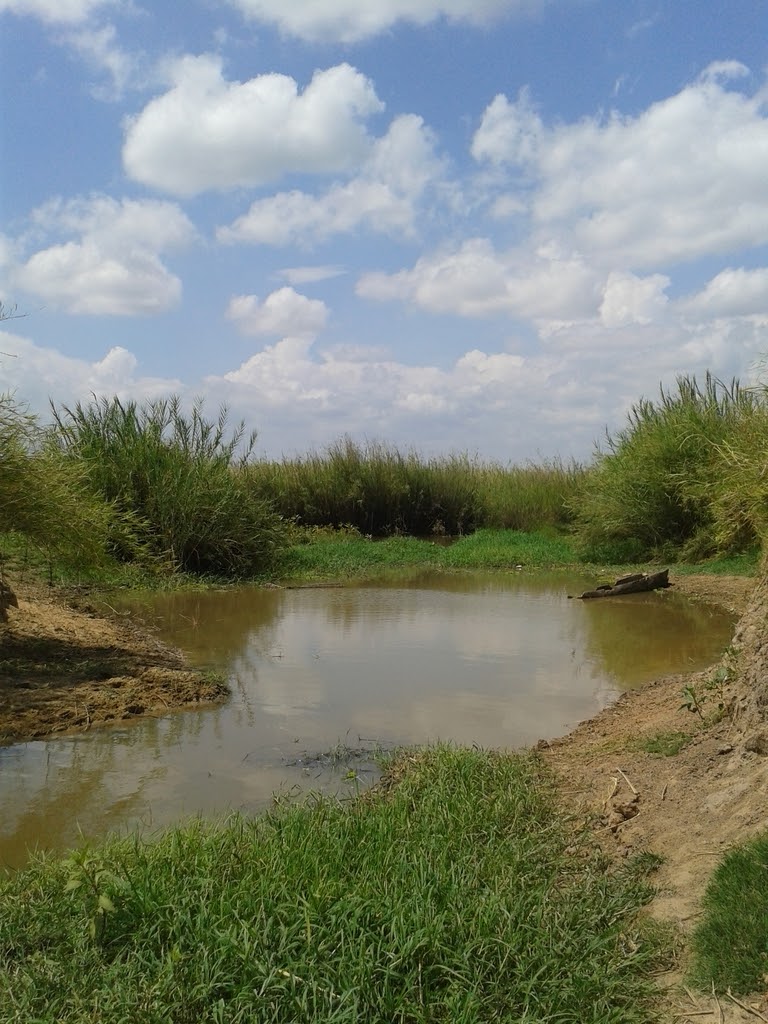 Times in Tanzania: Kilombero Valley: Canoe trip on the river