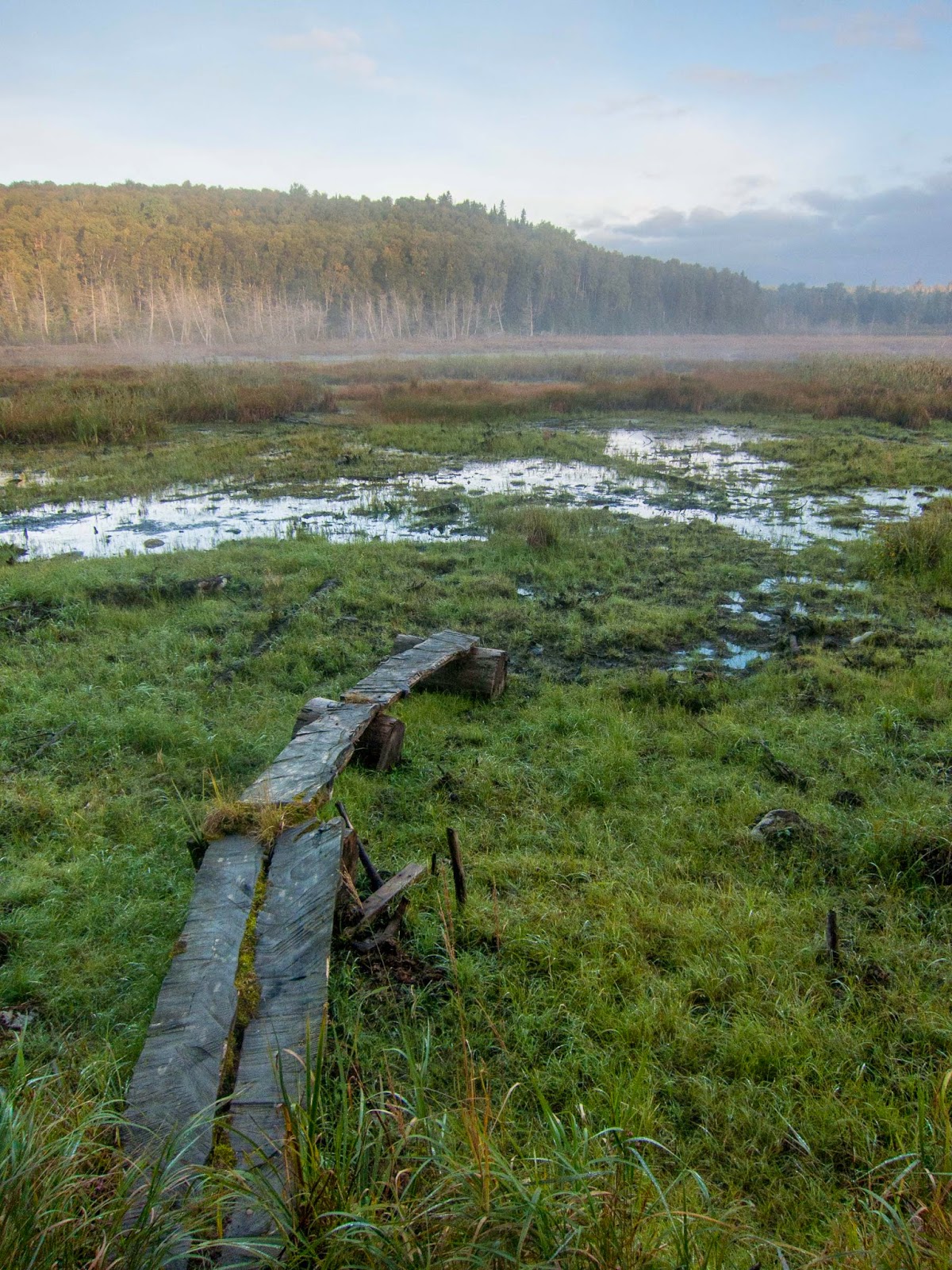 Eric's Hikes: Superior Hiking Trail: Grand Marais to 270 Degree Overlook
