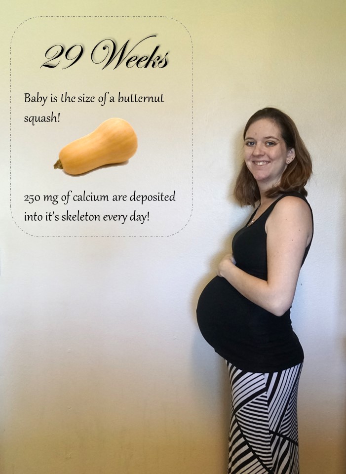 The Nerdy Wilson's: 29 Weeks - Baby Wilson #2