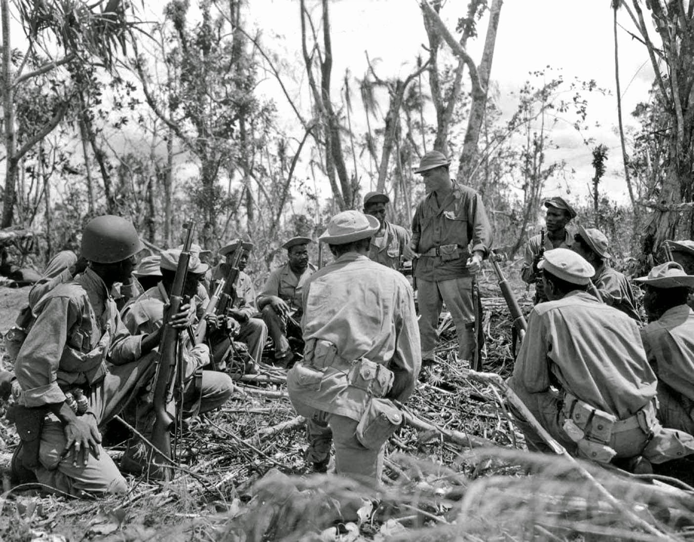 History in Photos: African American Troops