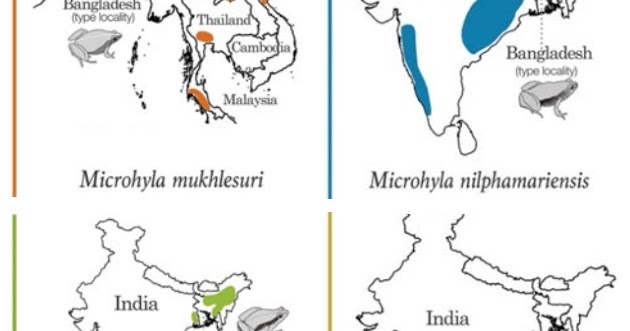 Species New to Science: [Herpetology • 2018] Delineating Microhyla ...