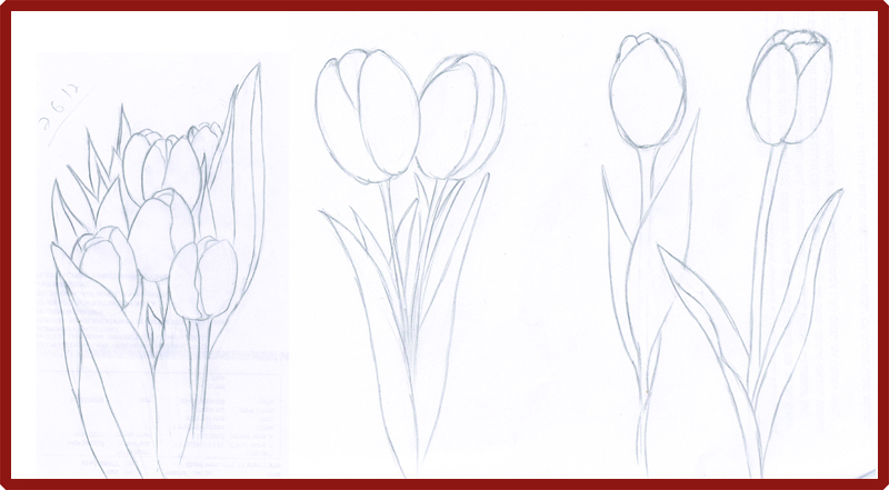 Weekly : Doodles and tuts: How to draw a Tulip: Method 2
