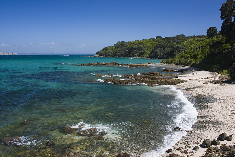 Tiritiri Matangi Island | Wonderful Places