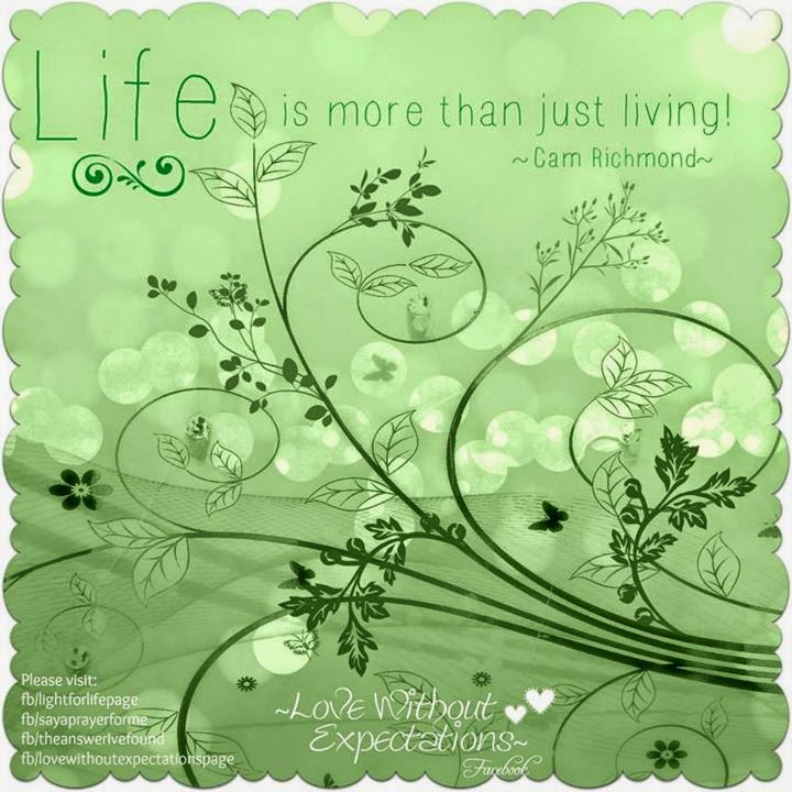 LIFE IS MORE THAN JUST LIVING! - Quotes