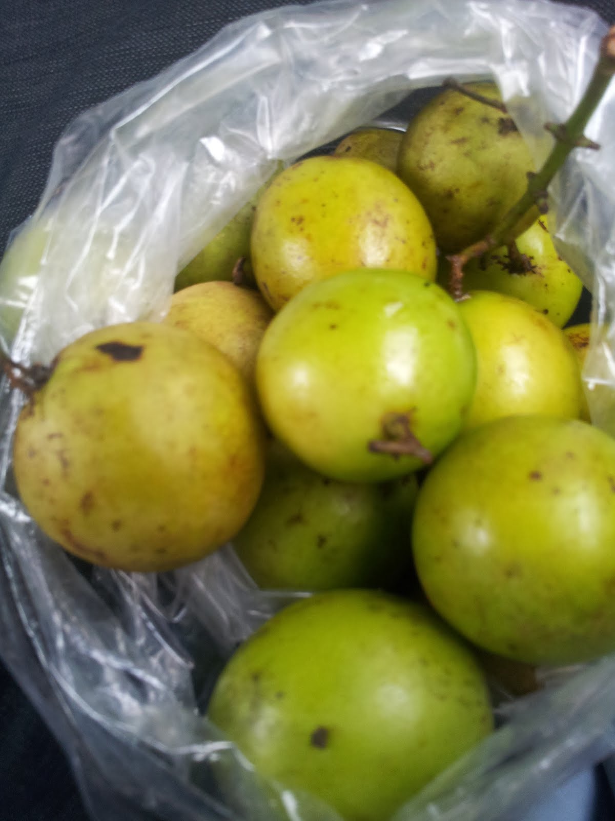 Adiza saidi: BUAH KUNDANG aka BUAH SETAR