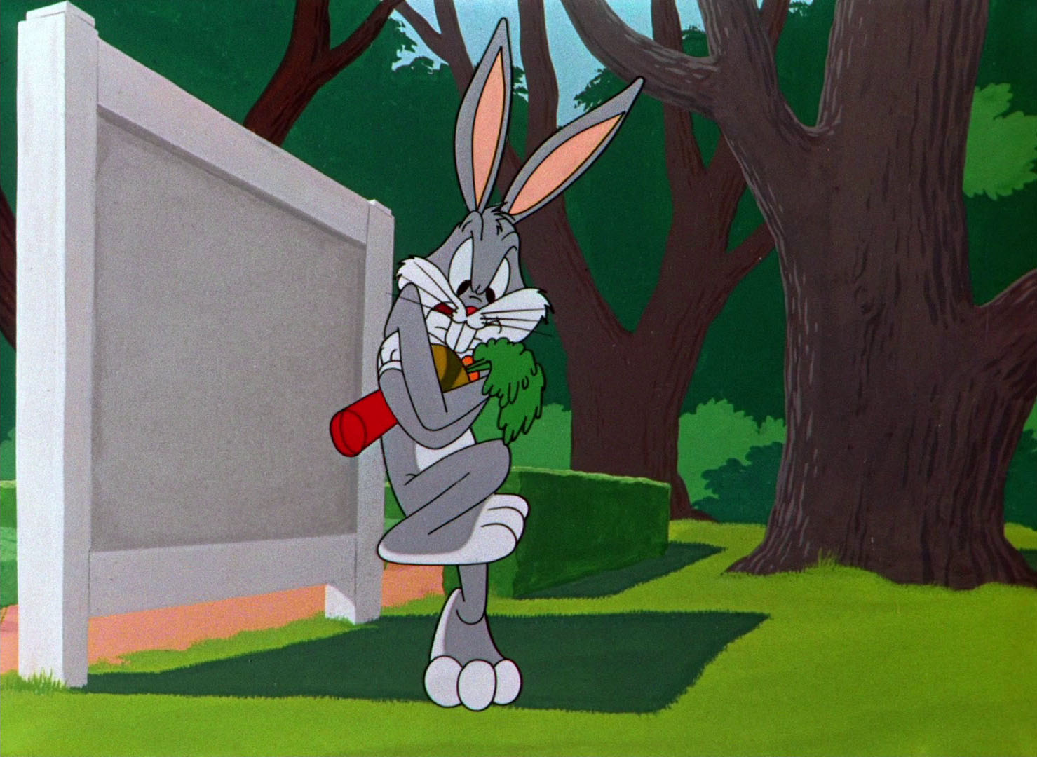 Rabbit Hood - Alchetron, The Free Social Encyclopedia