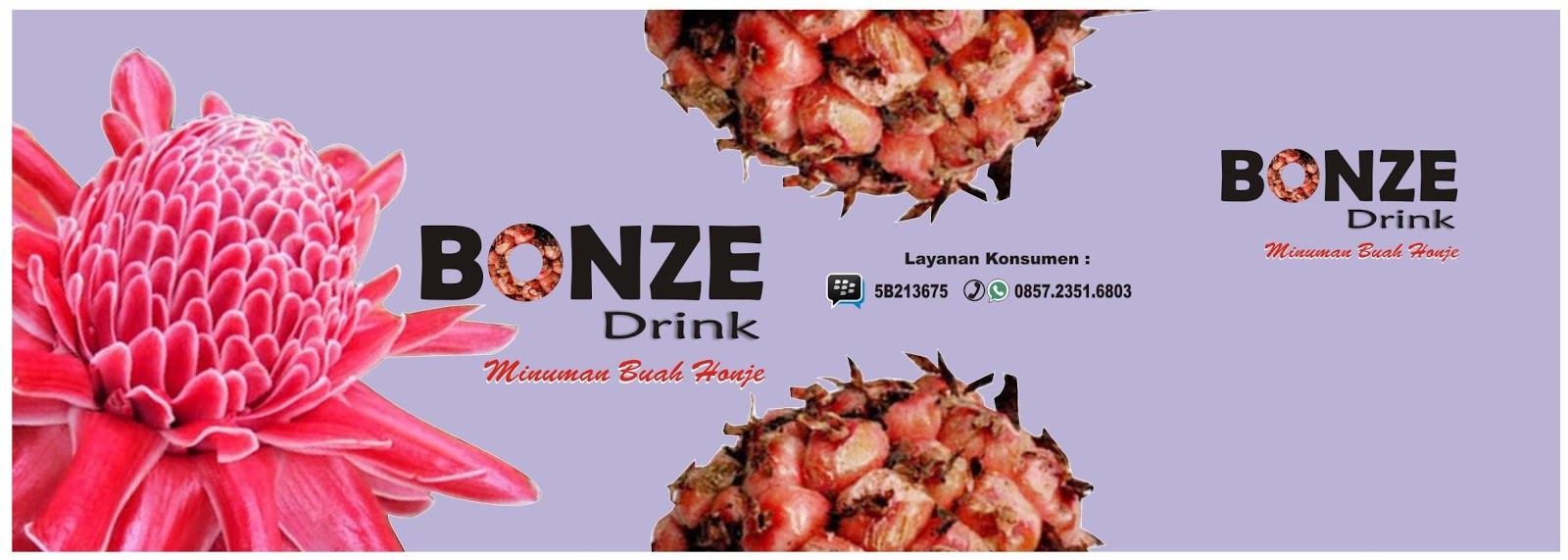 APA ITU BUAH HONJE ATAU KECOMBRANG?????