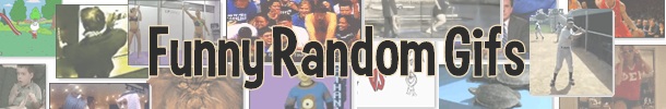 Great Gif - Funny Random Gifs
