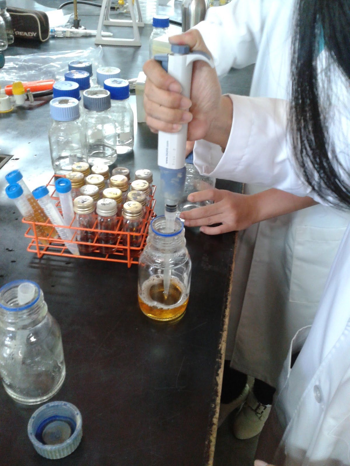 IBG 102 lab report: LAB 5 : DETERMINATION OF ANTIMICROBIAL EFFECTS OF ...