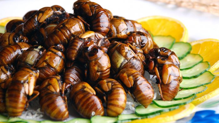 10 Kuliner Paling Ekstrim Di Dunia