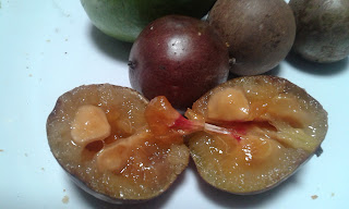 Foot and Fire: Do you still remember how Sarali or Sirali taste?