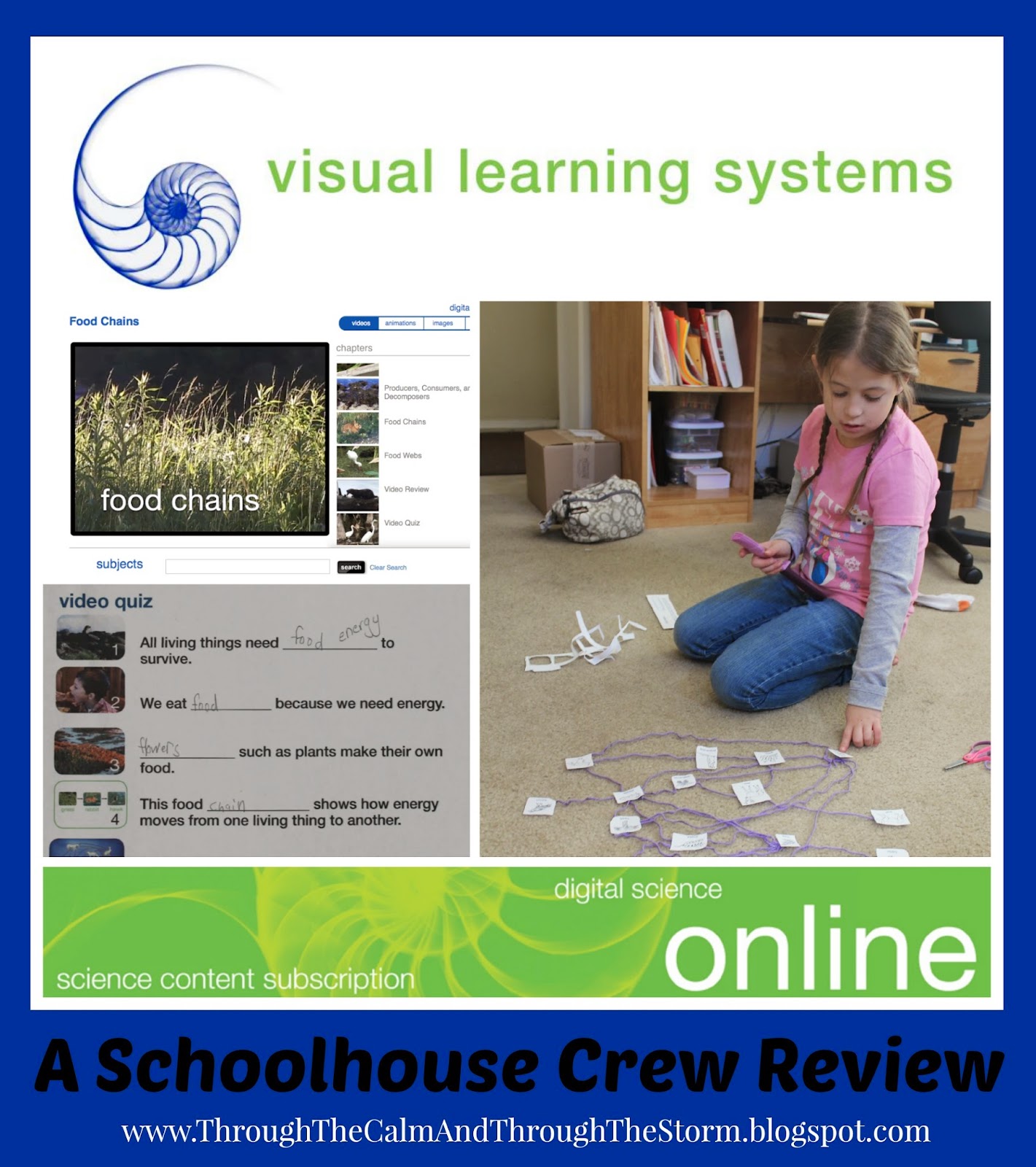 Through the Calm and Through the Storm: Visual Learning Systems ...