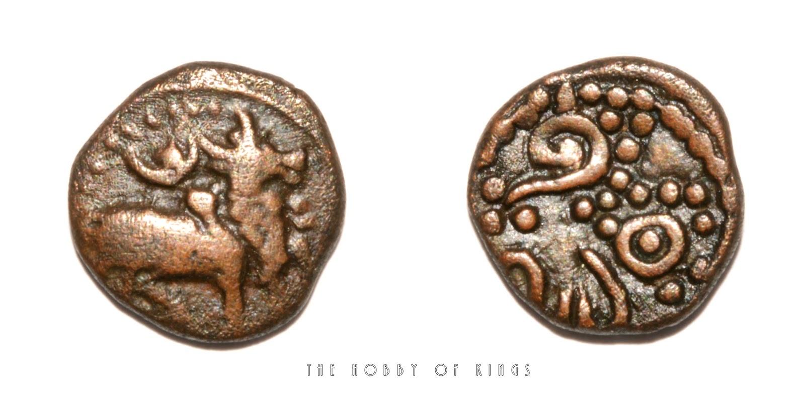Vijayanagara Bukkaraya-I Coin | The Hobby of Kings