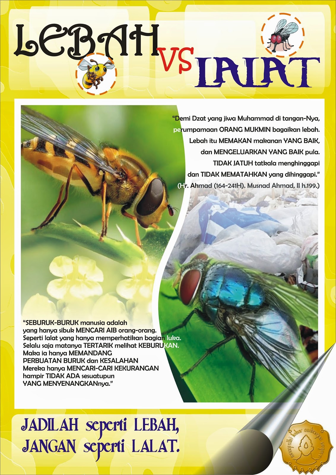 DOKTER BERHIJAB: Jadilah seperti LEBAH, jangan seperti LALAT