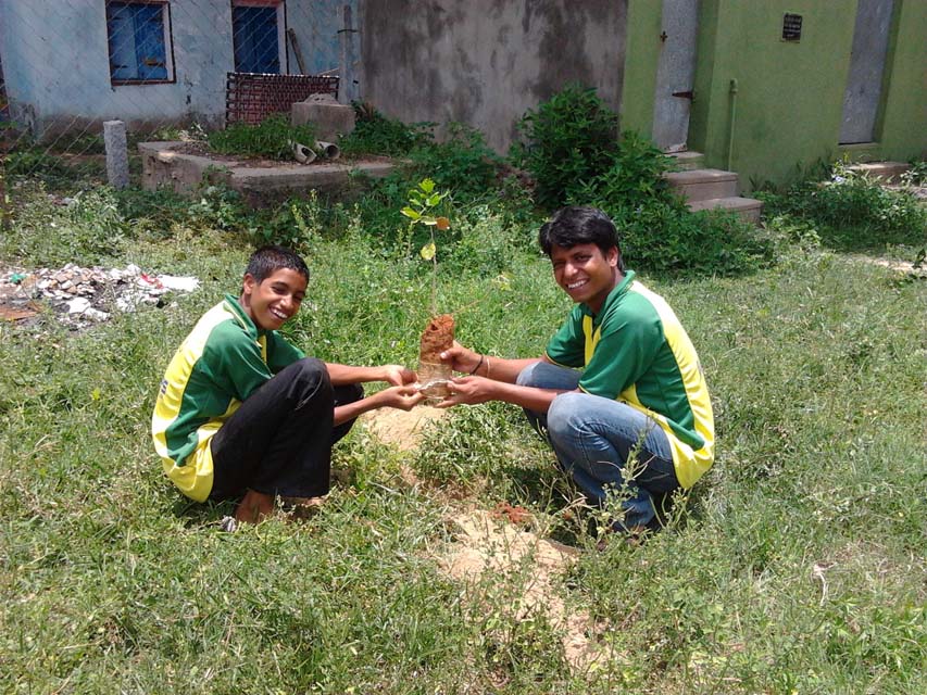 Pillars of India: The Green 500 Tree Plantation Project at Arani by ...