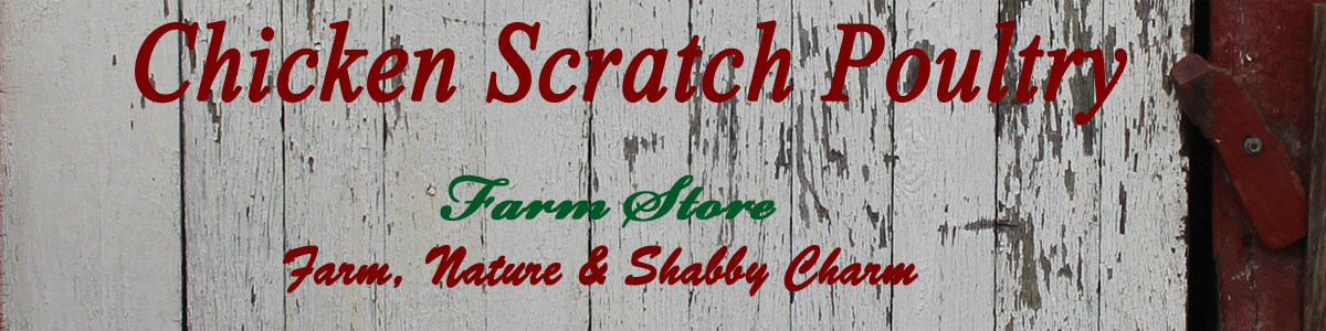 Chicken Scratch Poultry: Chicken Scratch Poultry Farm Store - Etsy