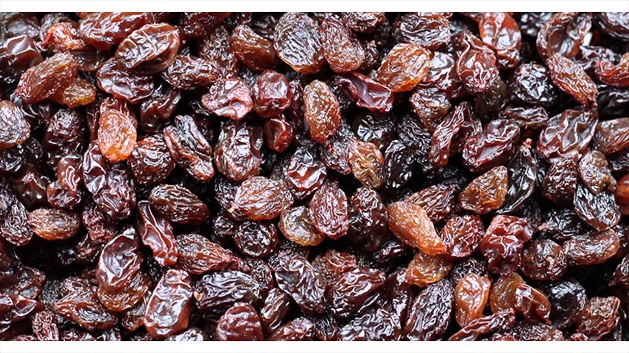 The Brewing Bug: Making Yeast Nutrient at Home